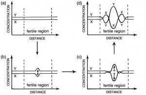 Subquantum Kinetics (nontechnical summary) | The Starburst Foundation ...